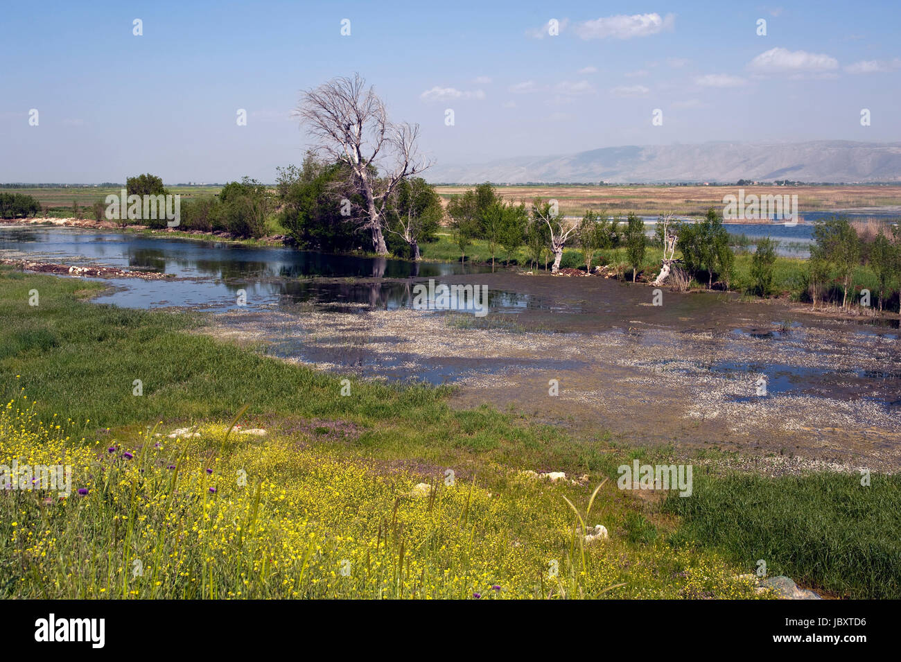 bekaa valley lebanon Stock Photo - Alamy