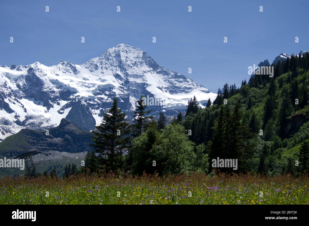 Myrren hi-res stock photography and images - Alamy