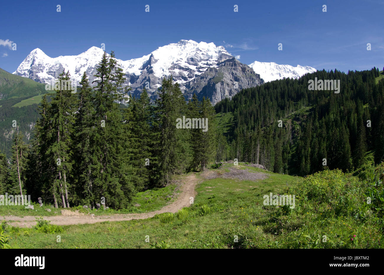 Myrren hi-res stock photography and images - Alamy