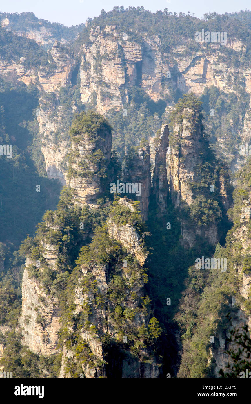 Zhangjiajie National forest park at Wulingyuan Hunan China Stock Photo ...