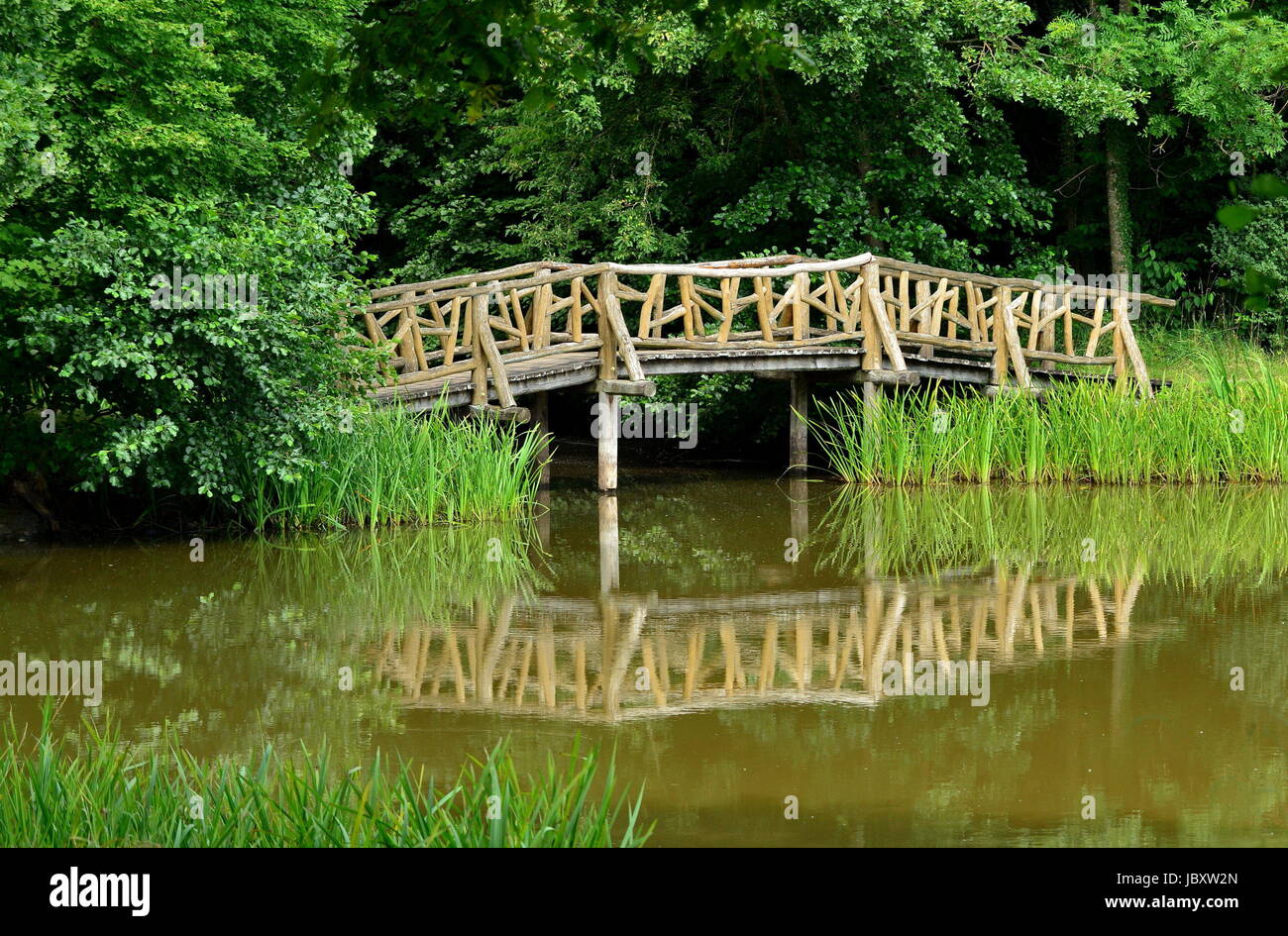 bridge black forest Stock Photo - Alamy
