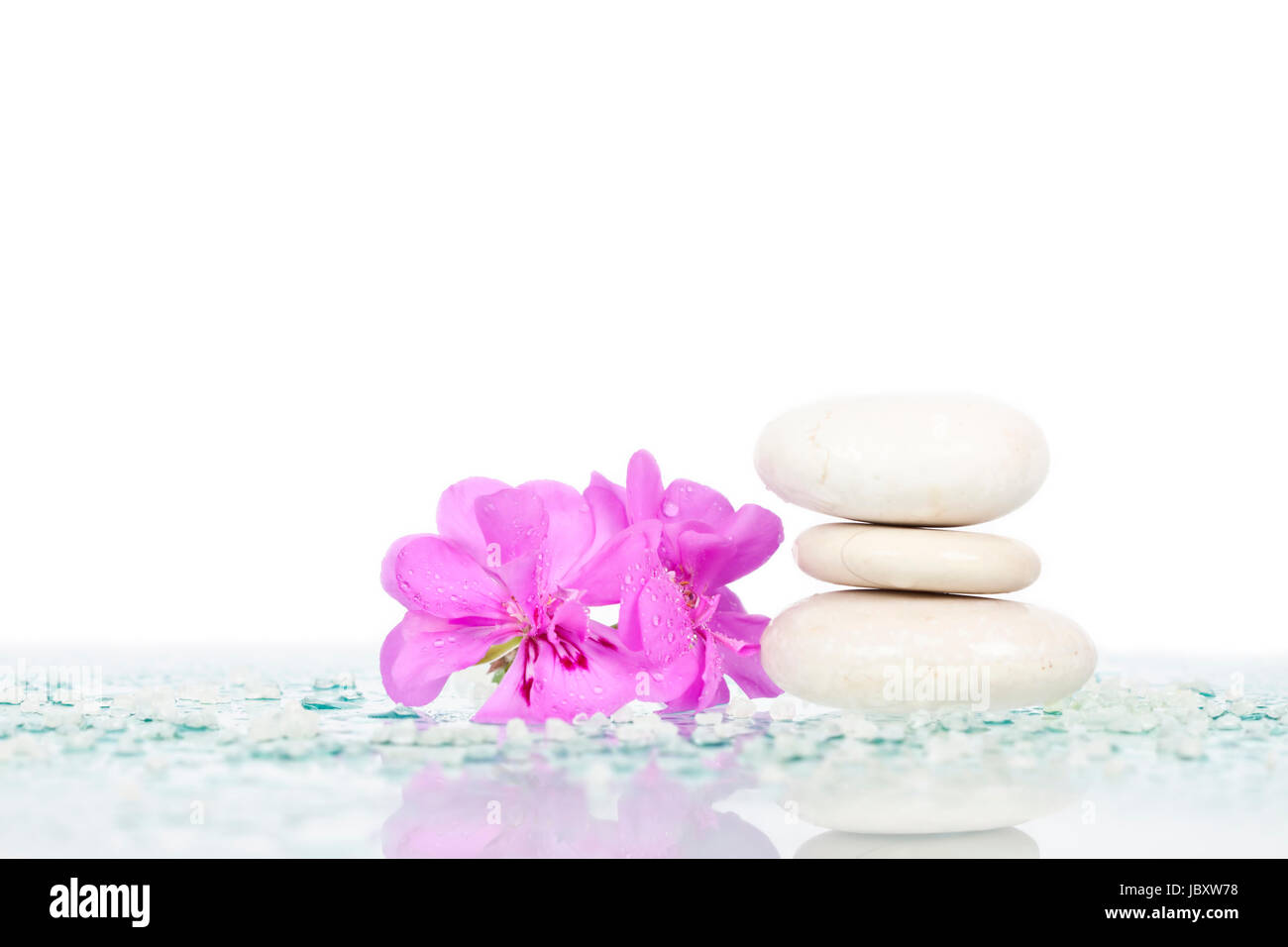 Spa stones and pink flower on white background Stock Photo - Alamy