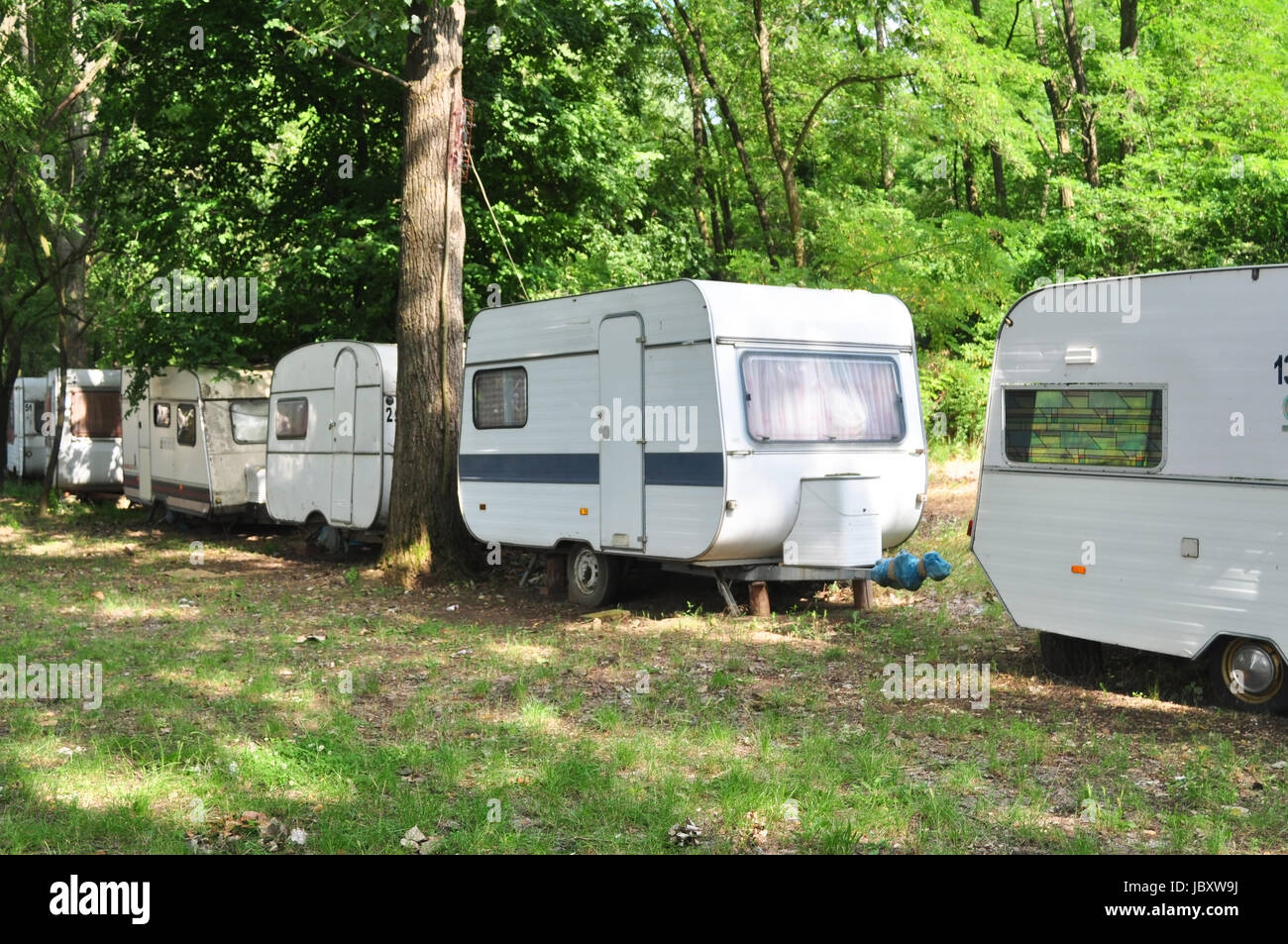 outdoor forest trailer camp caravan cars behind trees Stock Photo - Alamy