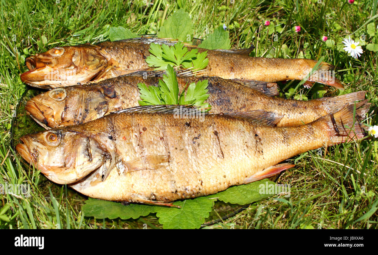 Outdoor cooking, serving freshly smoking perch with spices herbs Stock ...