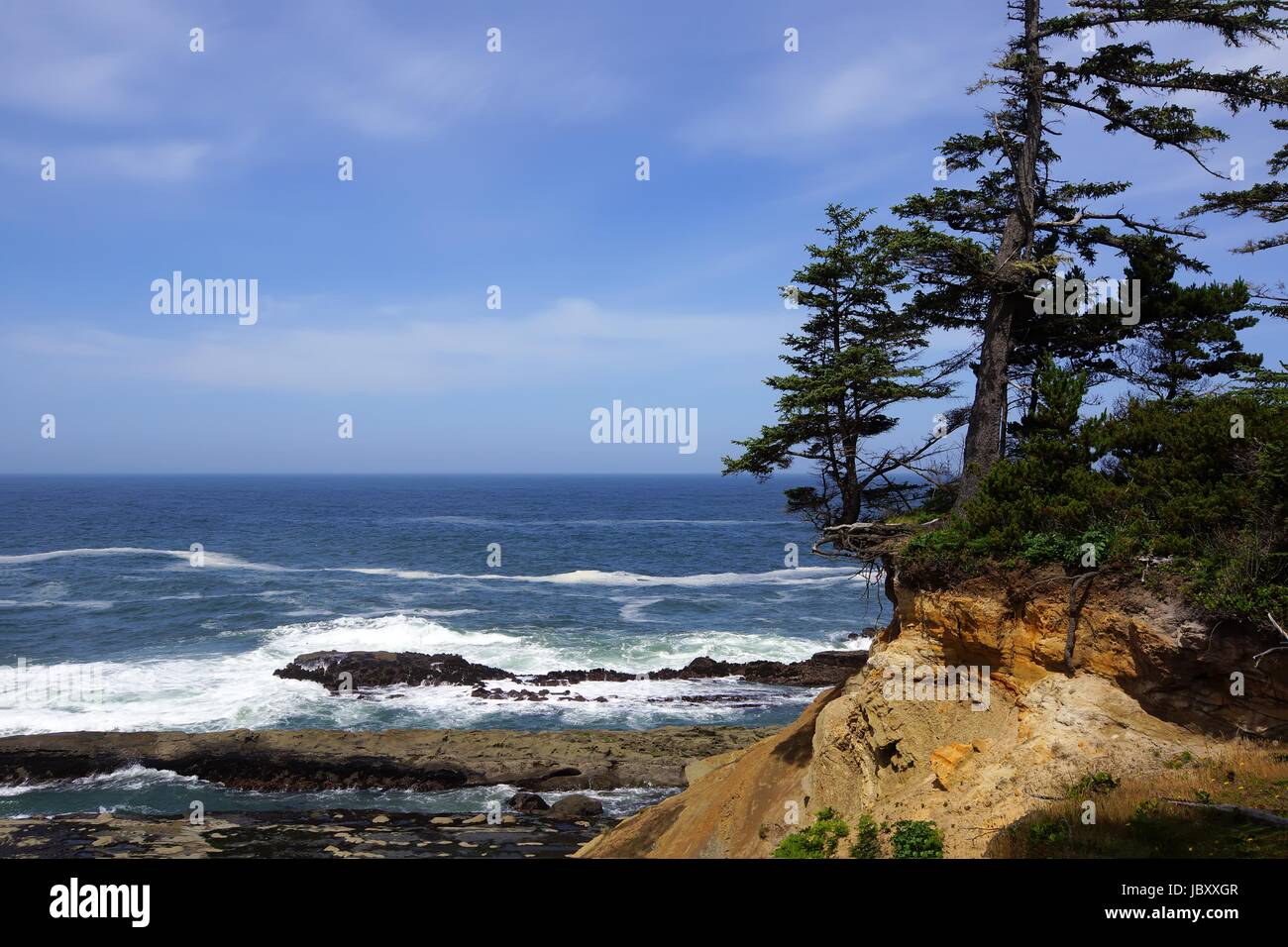 Roots breaking rock hi-res stock photography and images - Alamy
