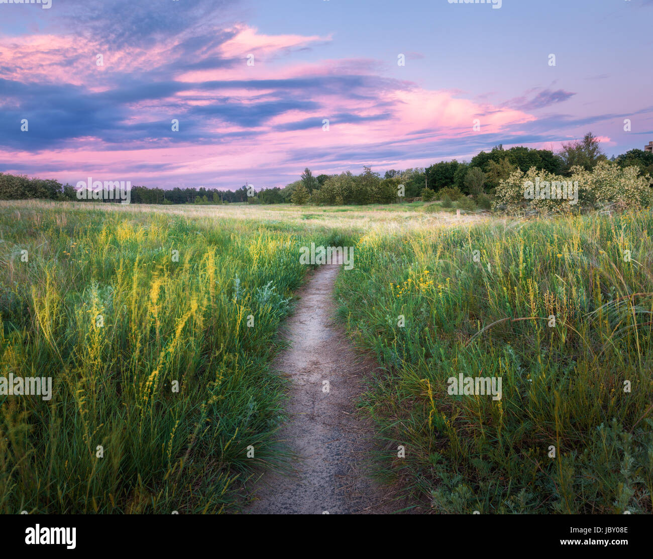 Amazing walkway through grass field at sunset. Colorful summer ...