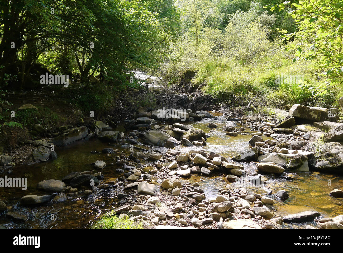 wooden forest bridge through forest river in scotland Stock Photo - Alamy