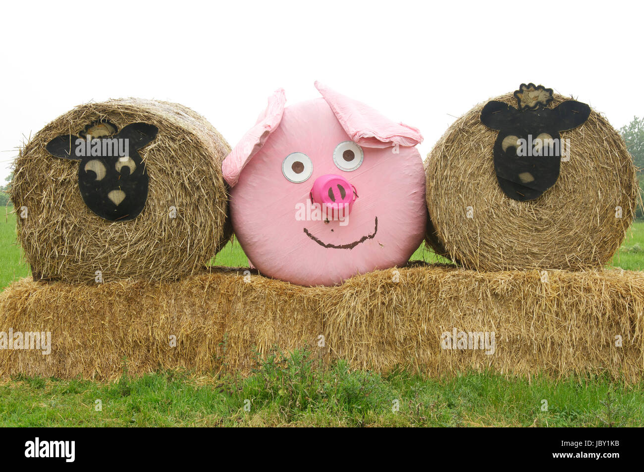 Comic animal faces representing sheep and a pink pig decorate three hay ...