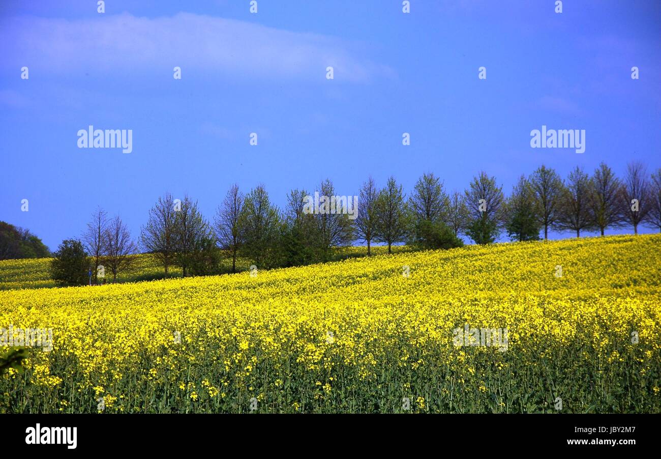 Northern germany farming hi-res stock photography and images - Alamy