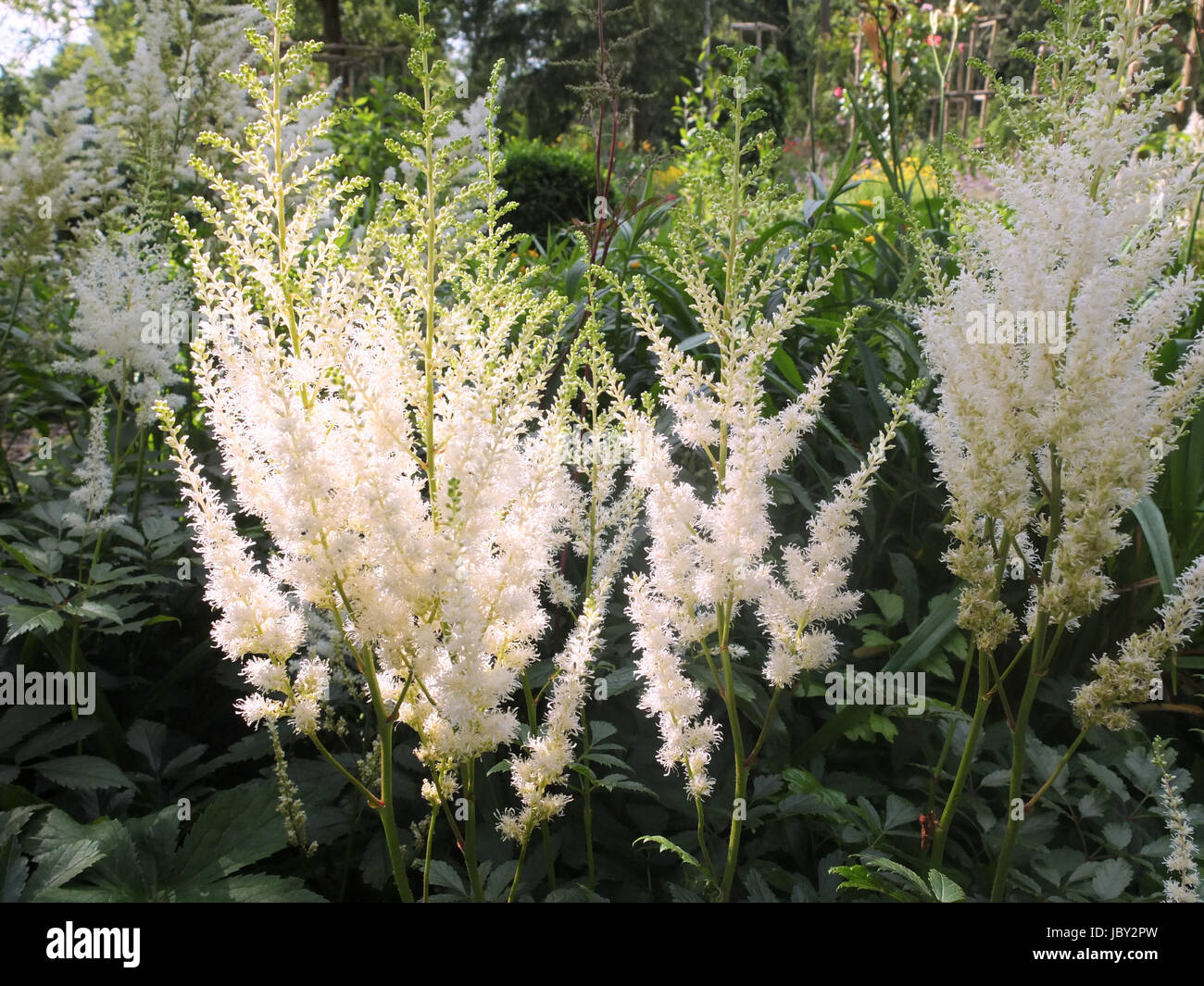 Farbstein hi-res stock photography and images - Alamy
