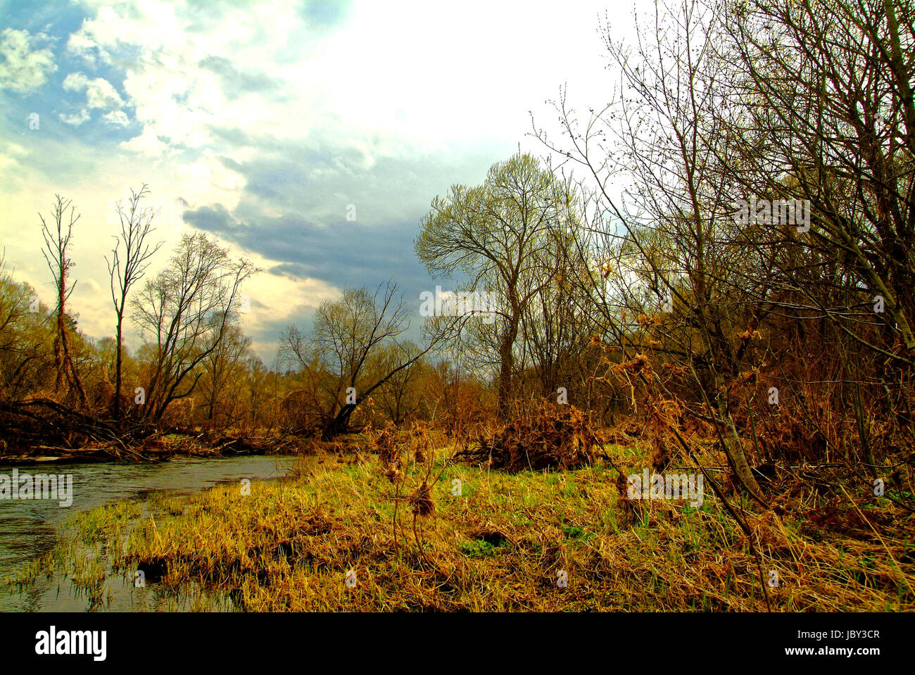 the spring river in Russia, river Shan, Kaluga oblast Stock Photo - Alamy