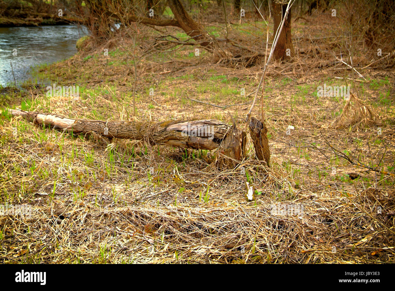 Spring river hi-res stock photography and images - Alamy