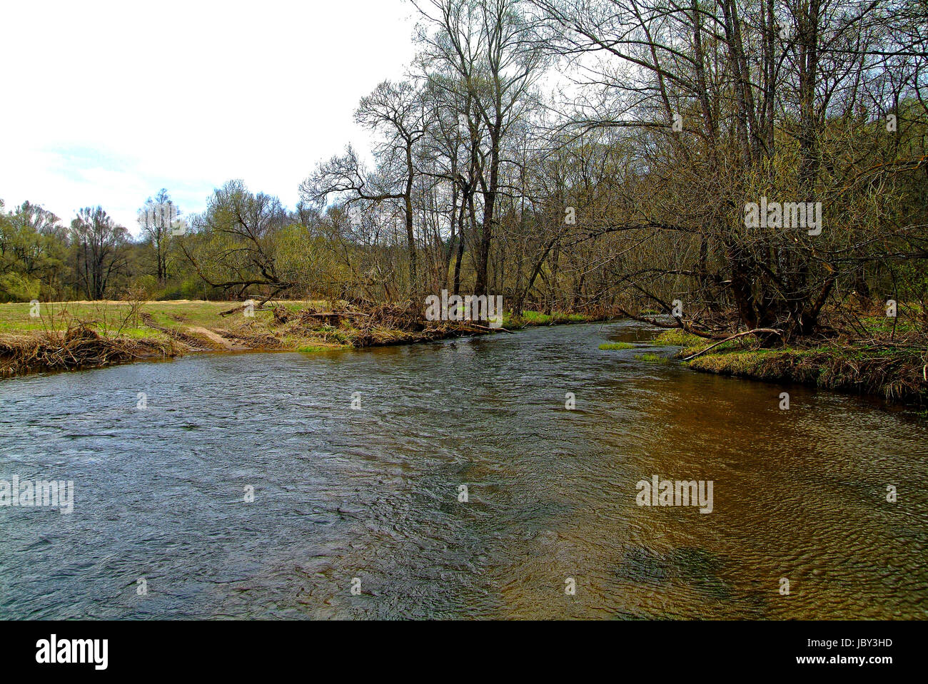 the spring river in Russia, river Shan, Kaluga oblast Stock Photo - Alamy