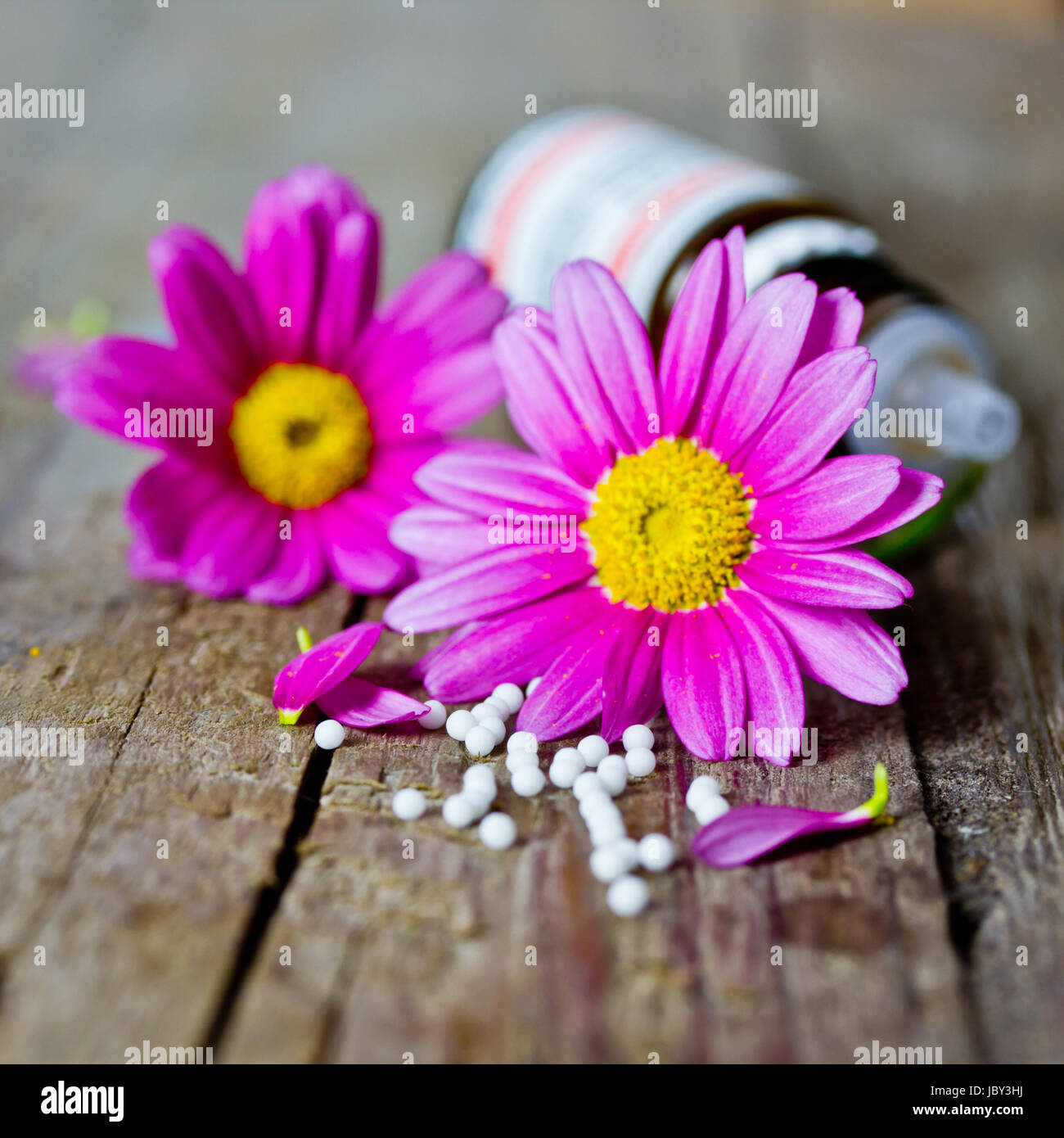 globules with flowers Stock Photo - Alamy