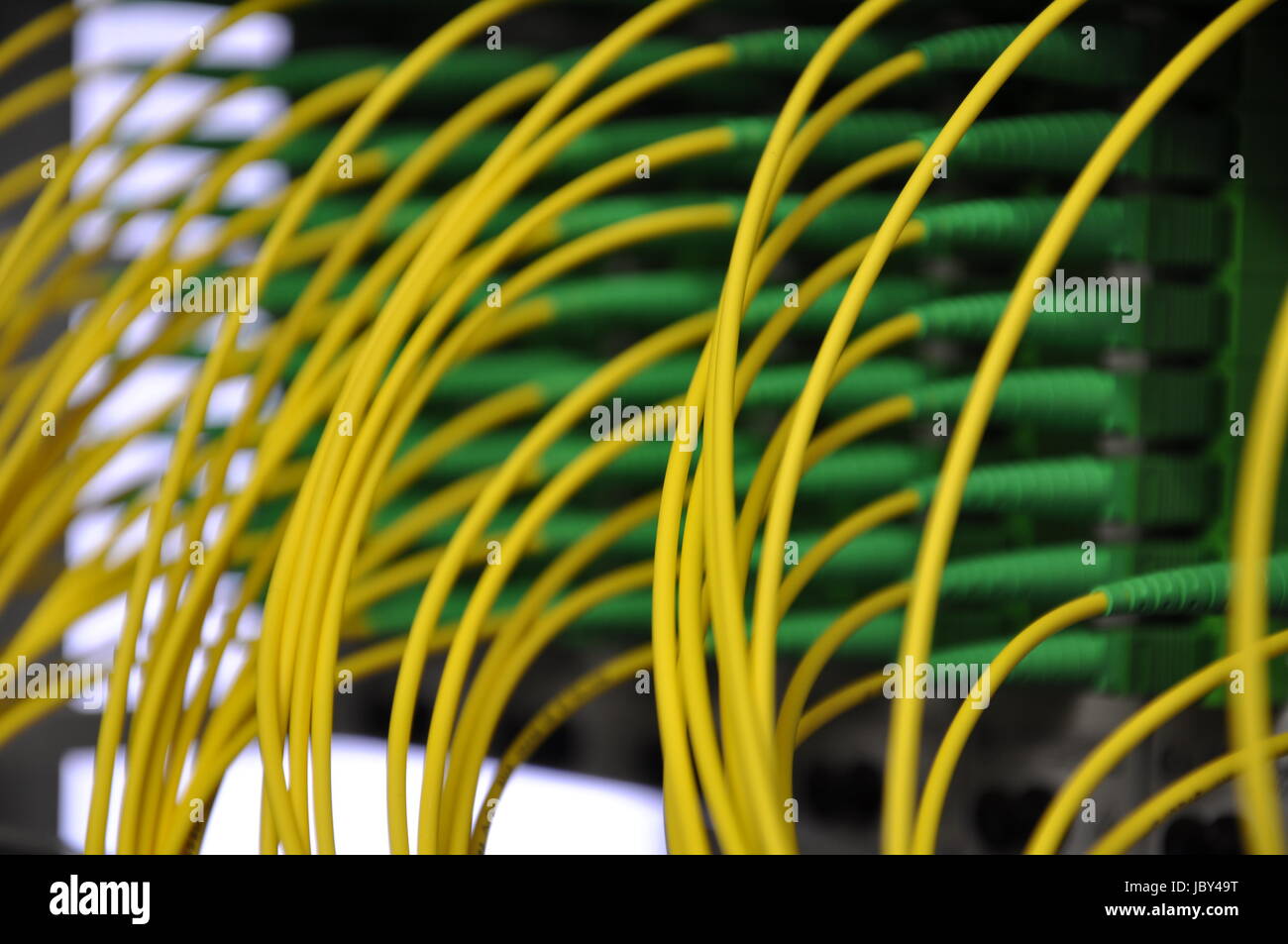 Optical Distribution Frame with Optical Patch Cord Cables Close Up ...