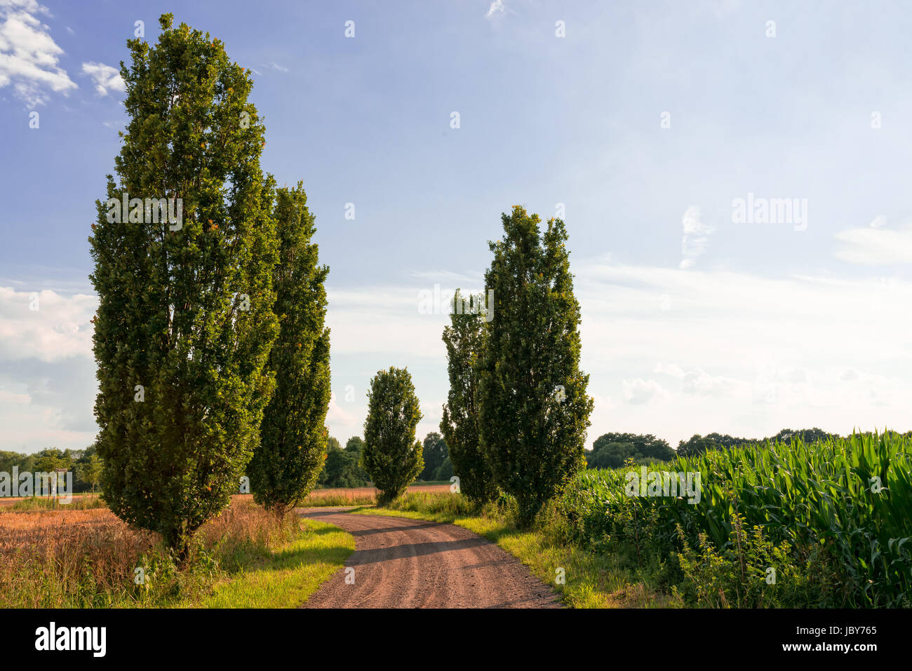 walking ways in Germany Stock Photo - Alamy