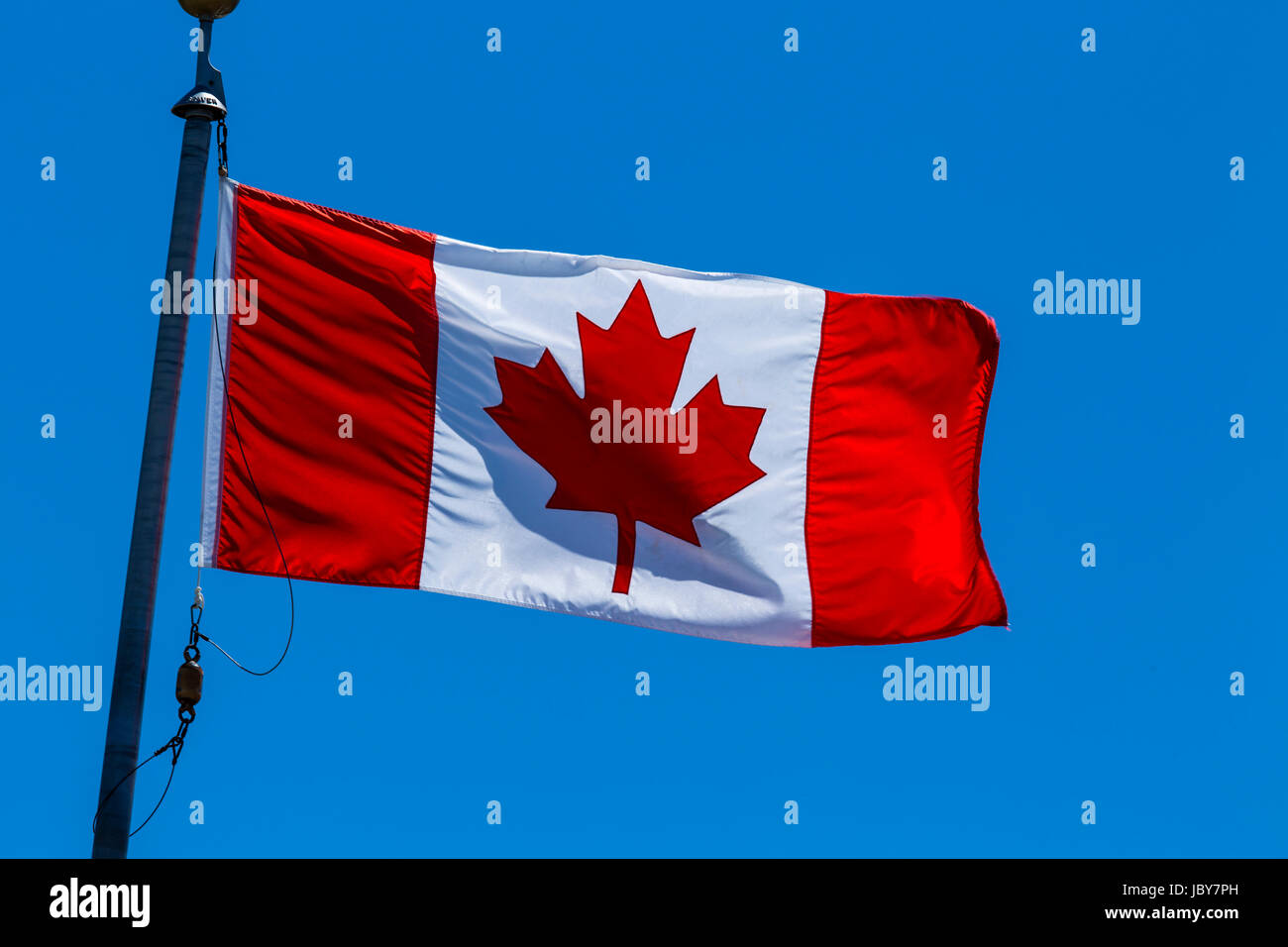 Canadian patriotic flag hi-res stock photography and images - Alamy