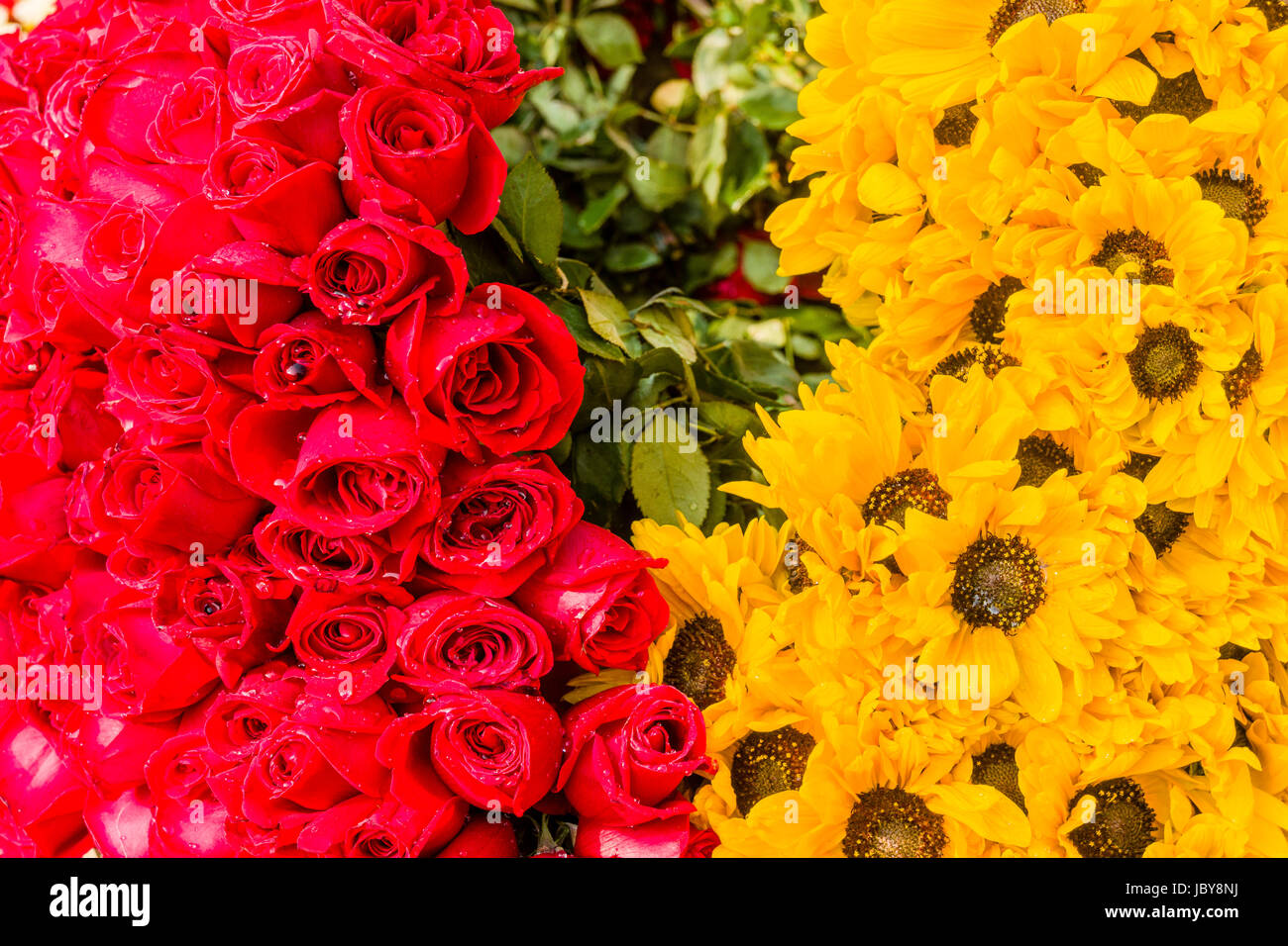 Bundles of red rose flowers and sunflowers are sold by vendors on the ...