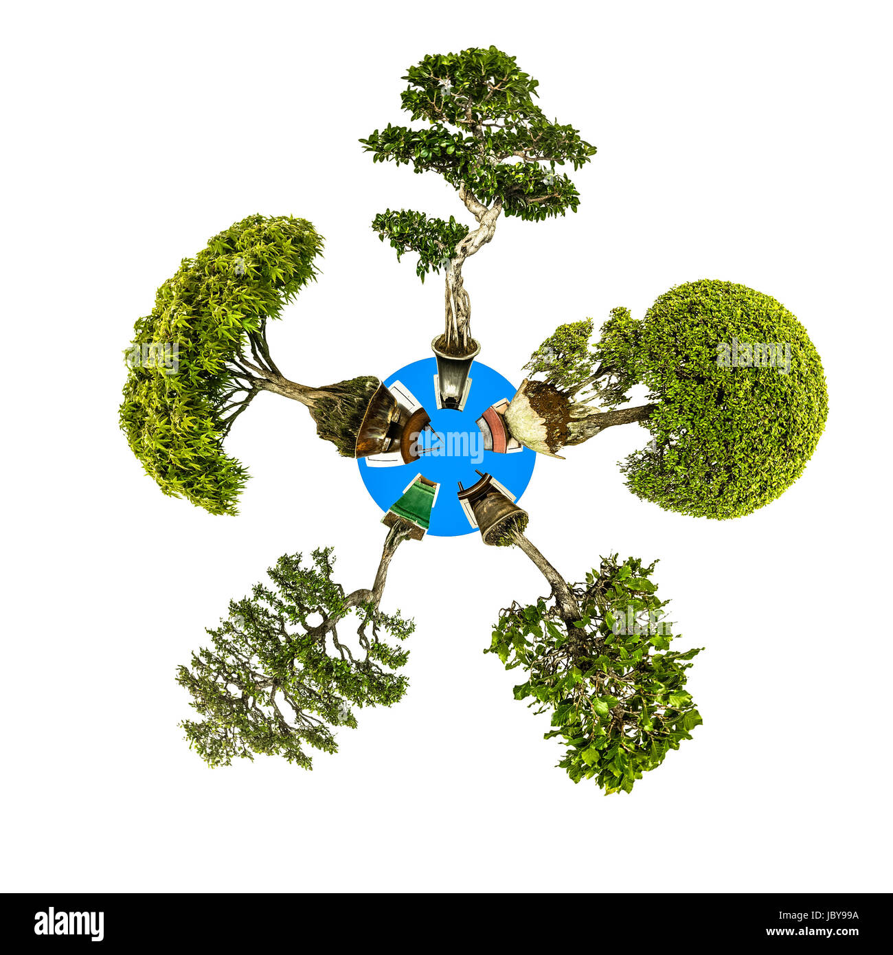 Buche wie hi-res stock photography and images - Alamy