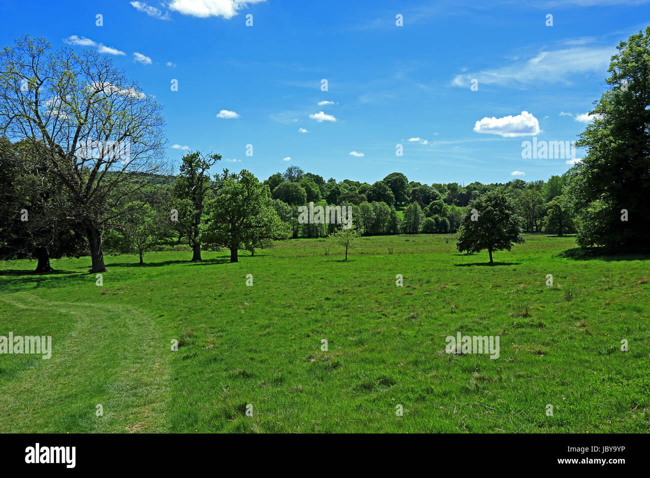 Weald of kent tree hi-res stock photography and images - Alamy