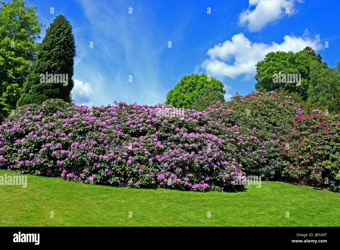 A beautiful garden scene Stock Photo - Alamy