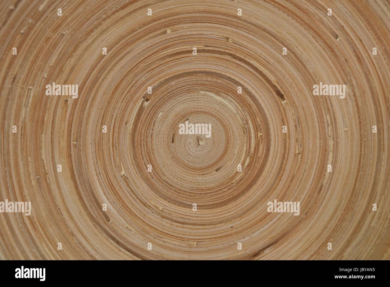 Background Pattern, Wood Texture of Cutted Tree Trunk with Copy Space ...