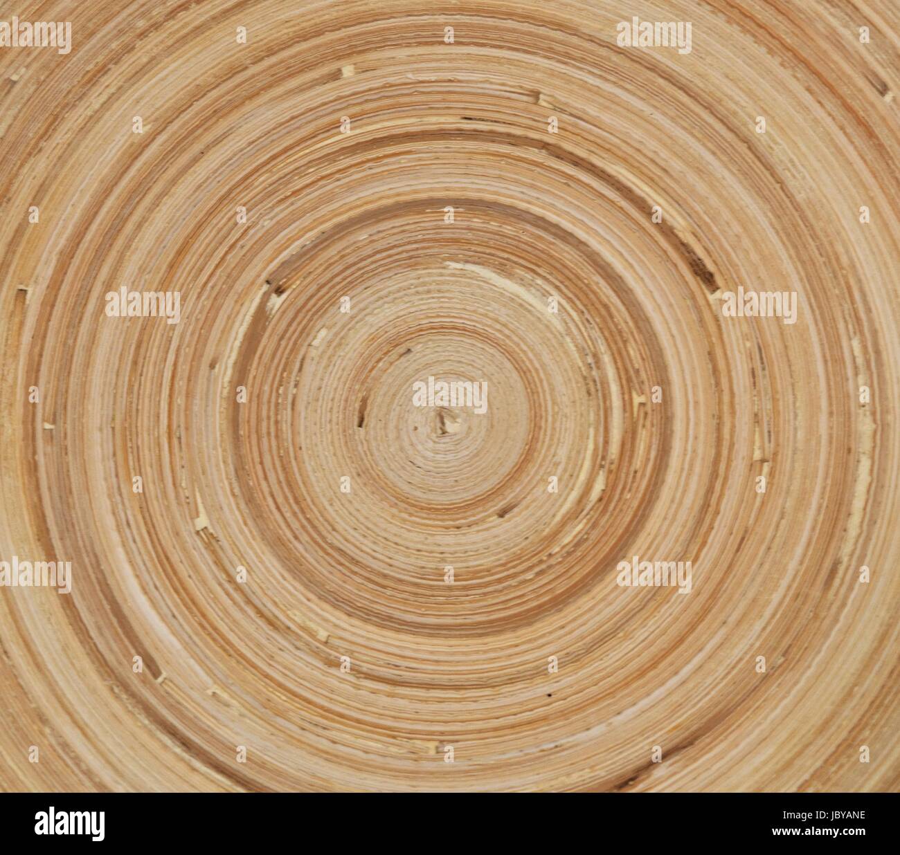 Background Pattern, Square Wood Texture of Cutted Tree Trunk with Copy ...