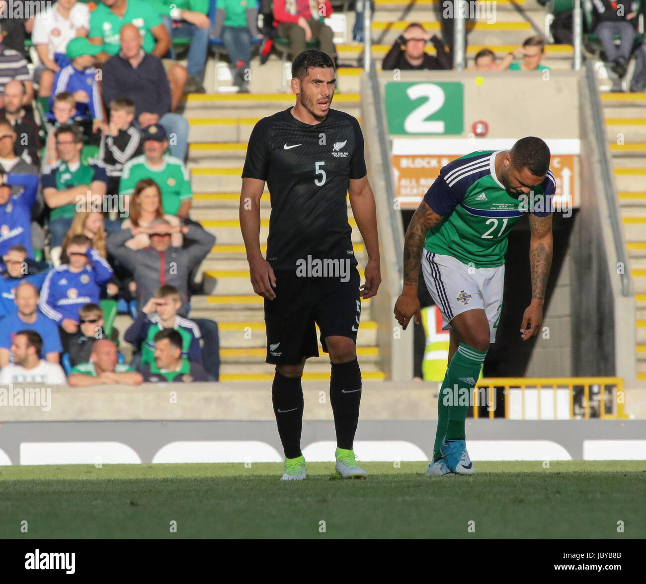 Boxall Stock Photos & Boxall Stock Images - Alamy