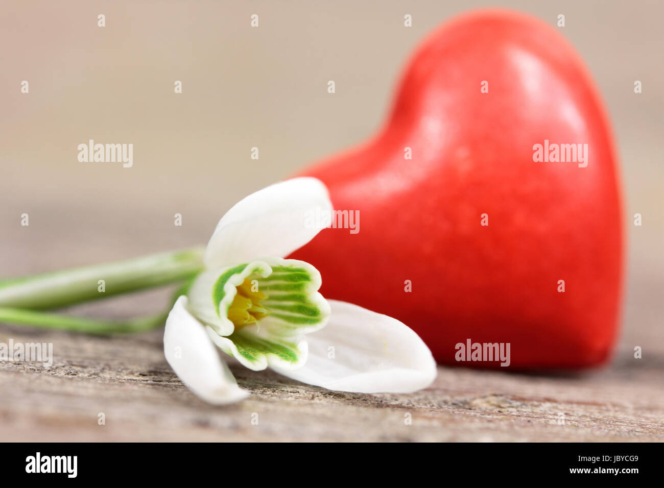 Lily Of The Valley And Heart at Janice Bottorff blog