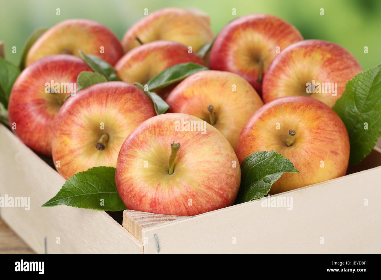 Frische Apfel Früchte in einer Kiste Stock Photo - Alamy