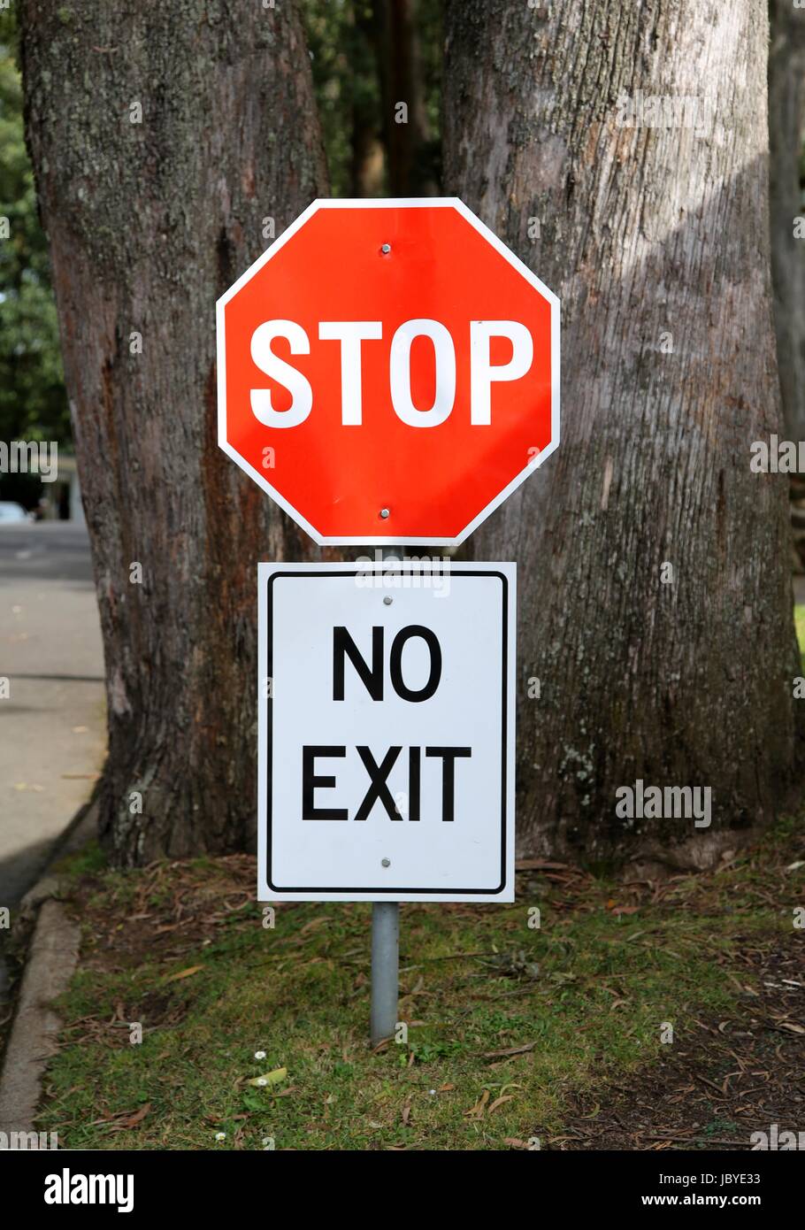 Stop and no exit signs prohibiting traffic Stock Photo - Alamy