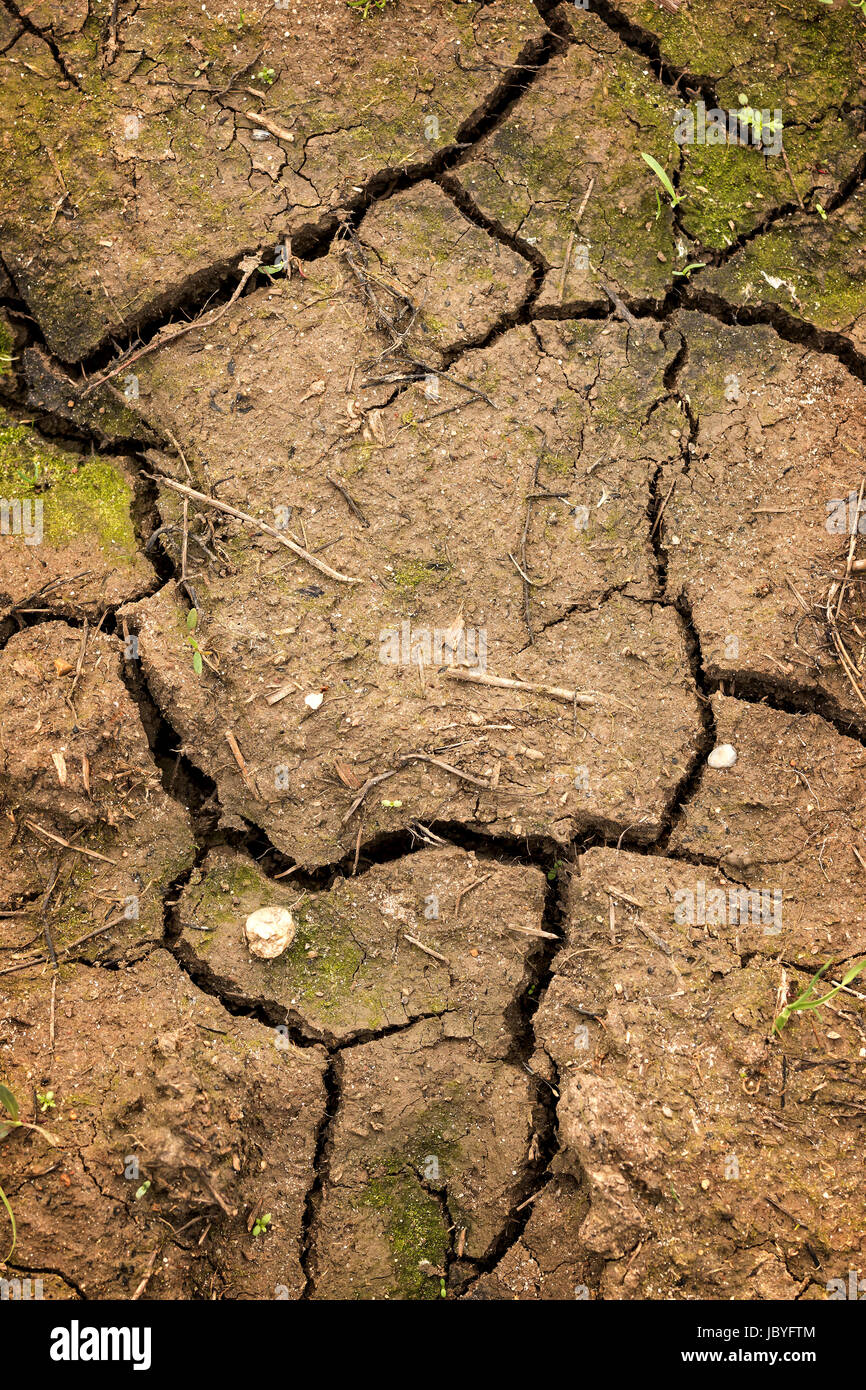 Closeup of dry soil Stock Photo - Alamy