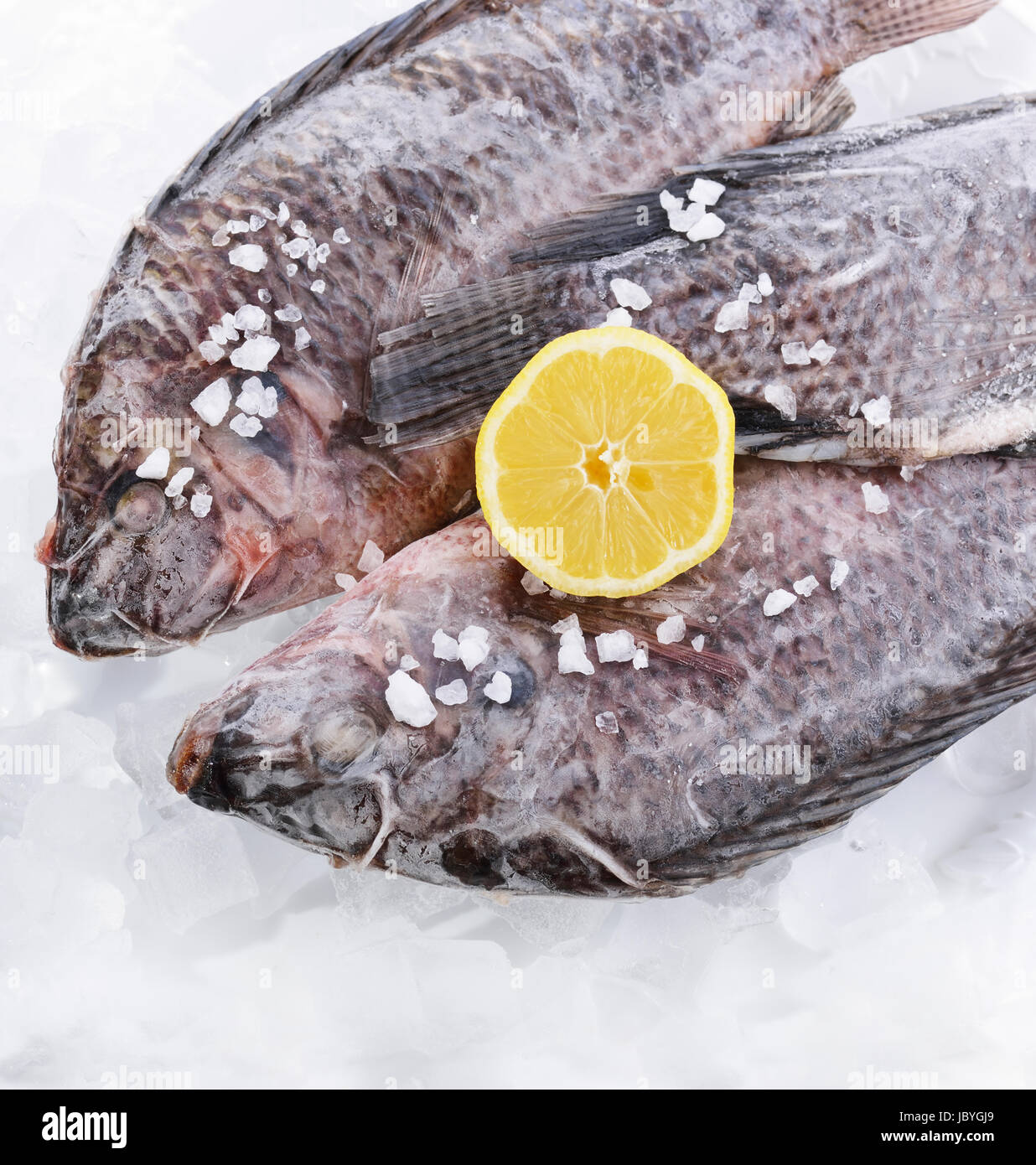 Frozen Fish On Ice Cubes Stock Photo - Alamy
