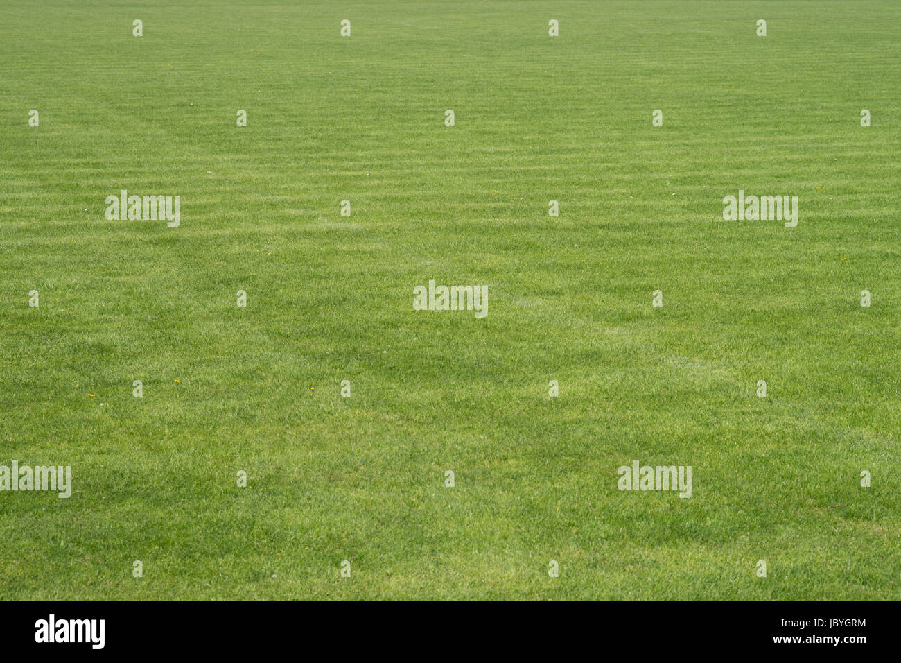 Football goal field grass mowed hi-res stock photography and images - Alamy