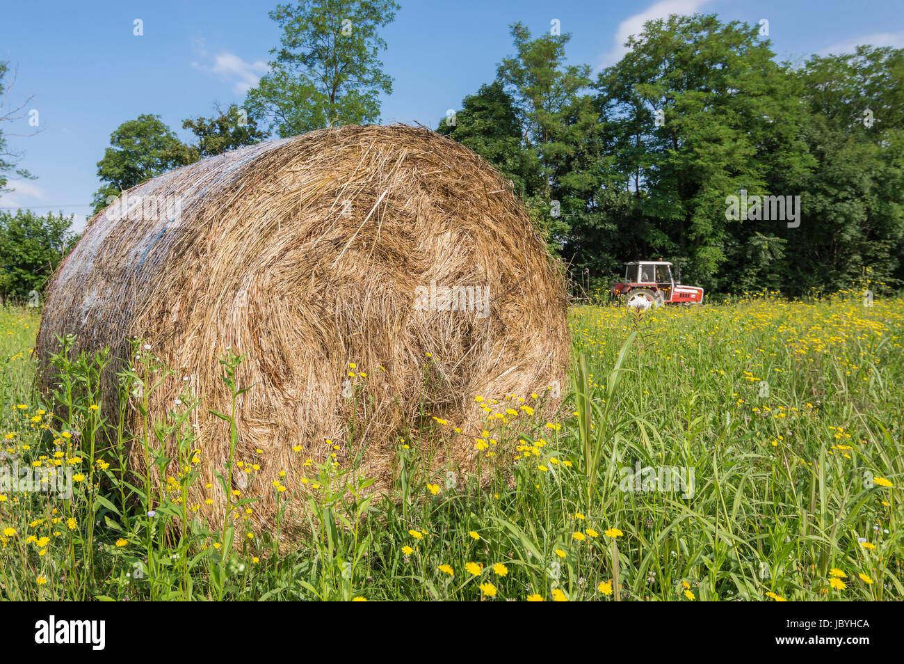 agricultural labor,hay bales and tractor Stock Photo - Alamy
