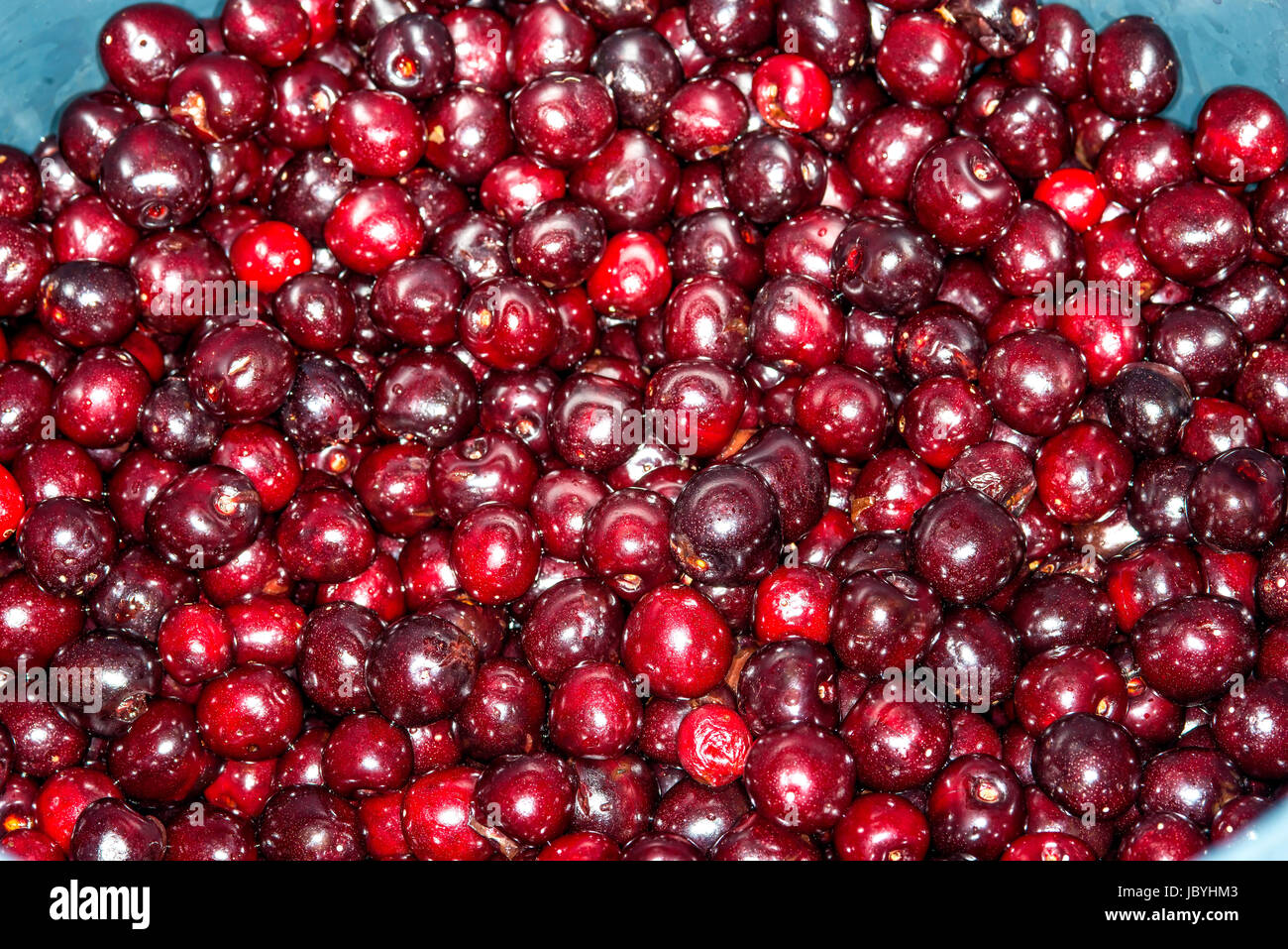 Kirschen ernte hi-res stock photography and images - Alamy