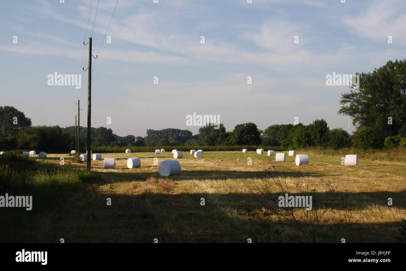 Hay pole hi-res stock photography and images - Alamy