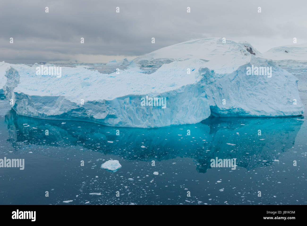 Blue shimmering beautiful iceberg in Antarctica Stock Photo - Alamy