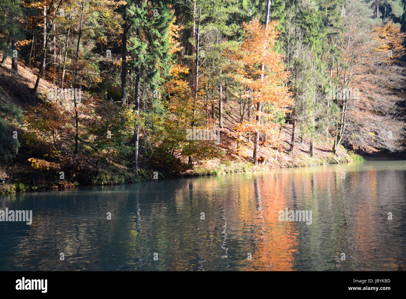 Amselsee, Herbst, rathen, kurort rathen, see, stausee, teich, weiher ...