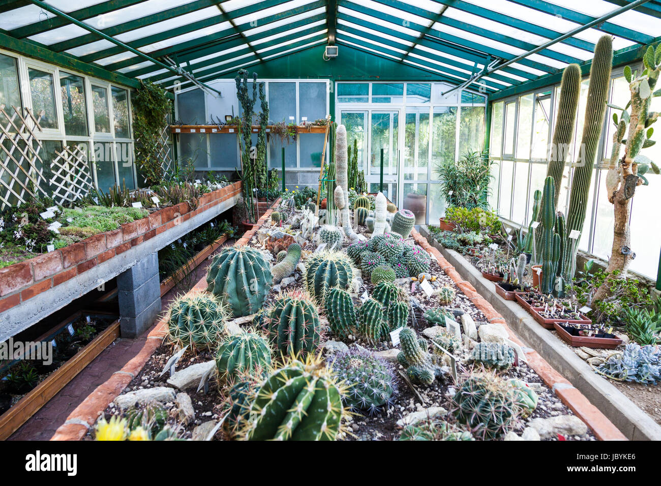 Interior of a cactus greenhouse; detail of the plantation banch Stock ...