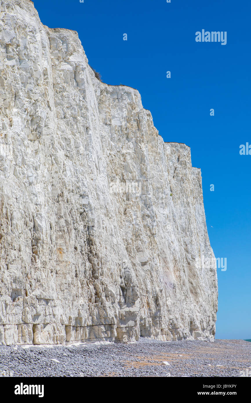 The beautiful chalk cliffs along the coastline in East Sussex, in the ...