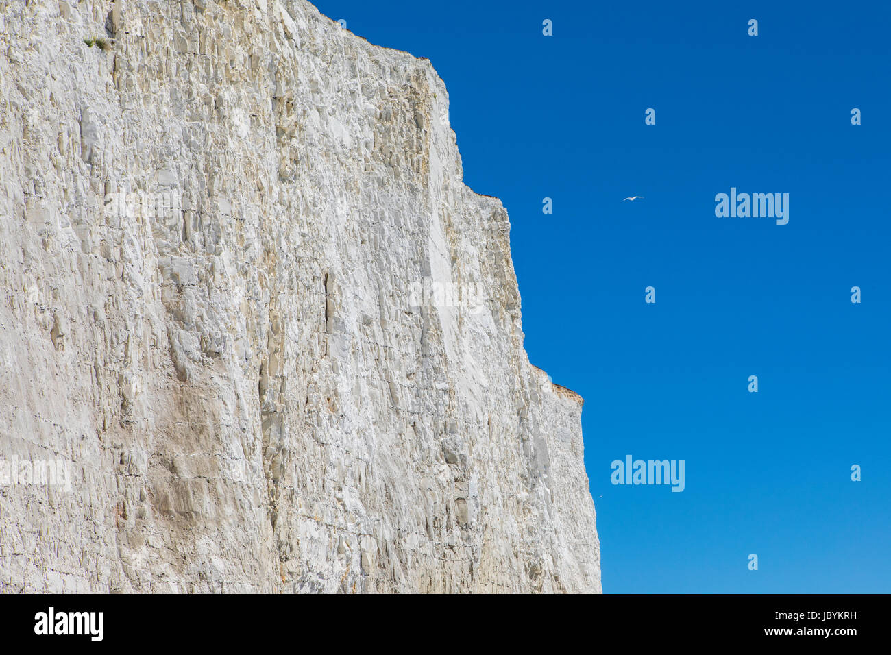 The beautiful chalk cliffs along the coastline in East Sussex, in the ...