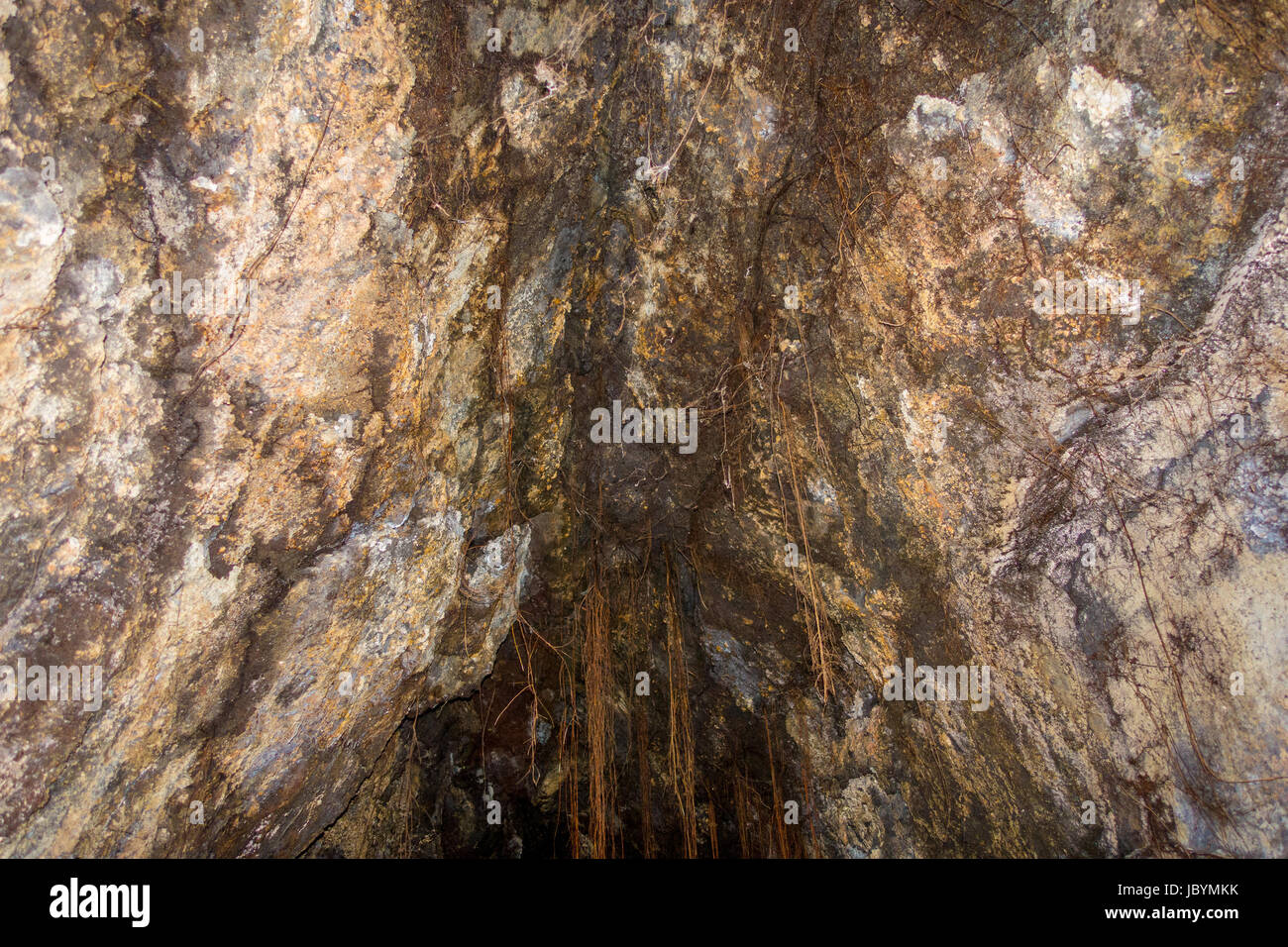 Beautiful dark Cave in Rangitoto Island, made of volcanic formations in ...
