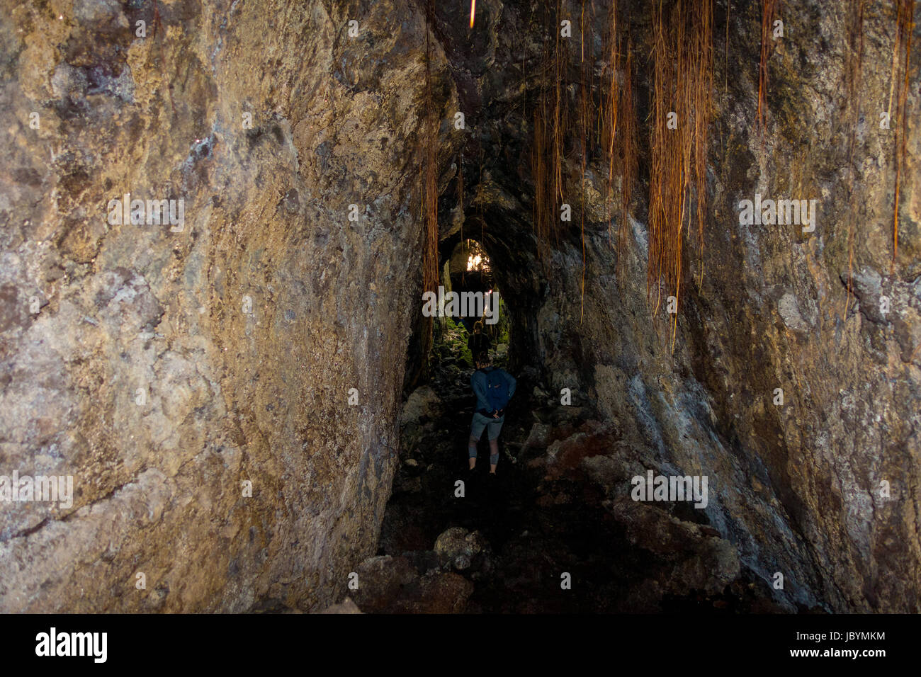 Beautiful dark cave in Rangitoto Island, made of volcanic formations in ...