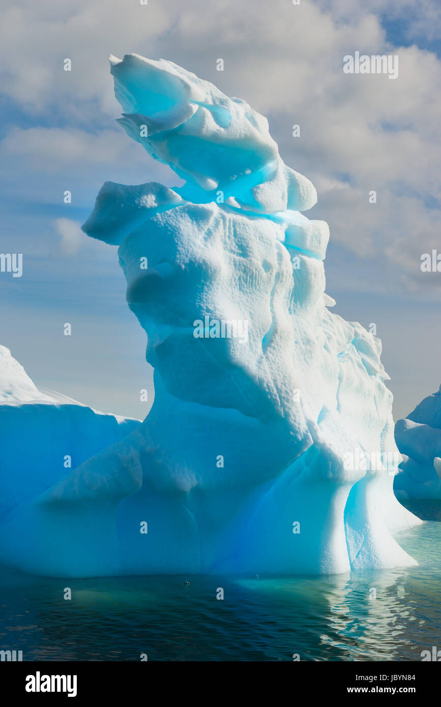 Blue shimmering beautiful iceberg in Antarctica Stock Photo - Alamy