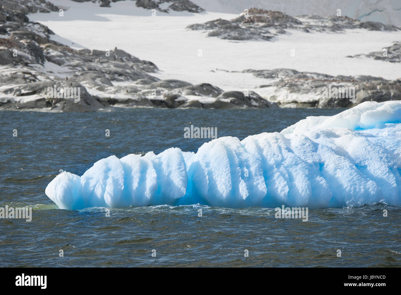 Blue shimmering beautiful iceberg in Antarctica Stock Photo - Alamy