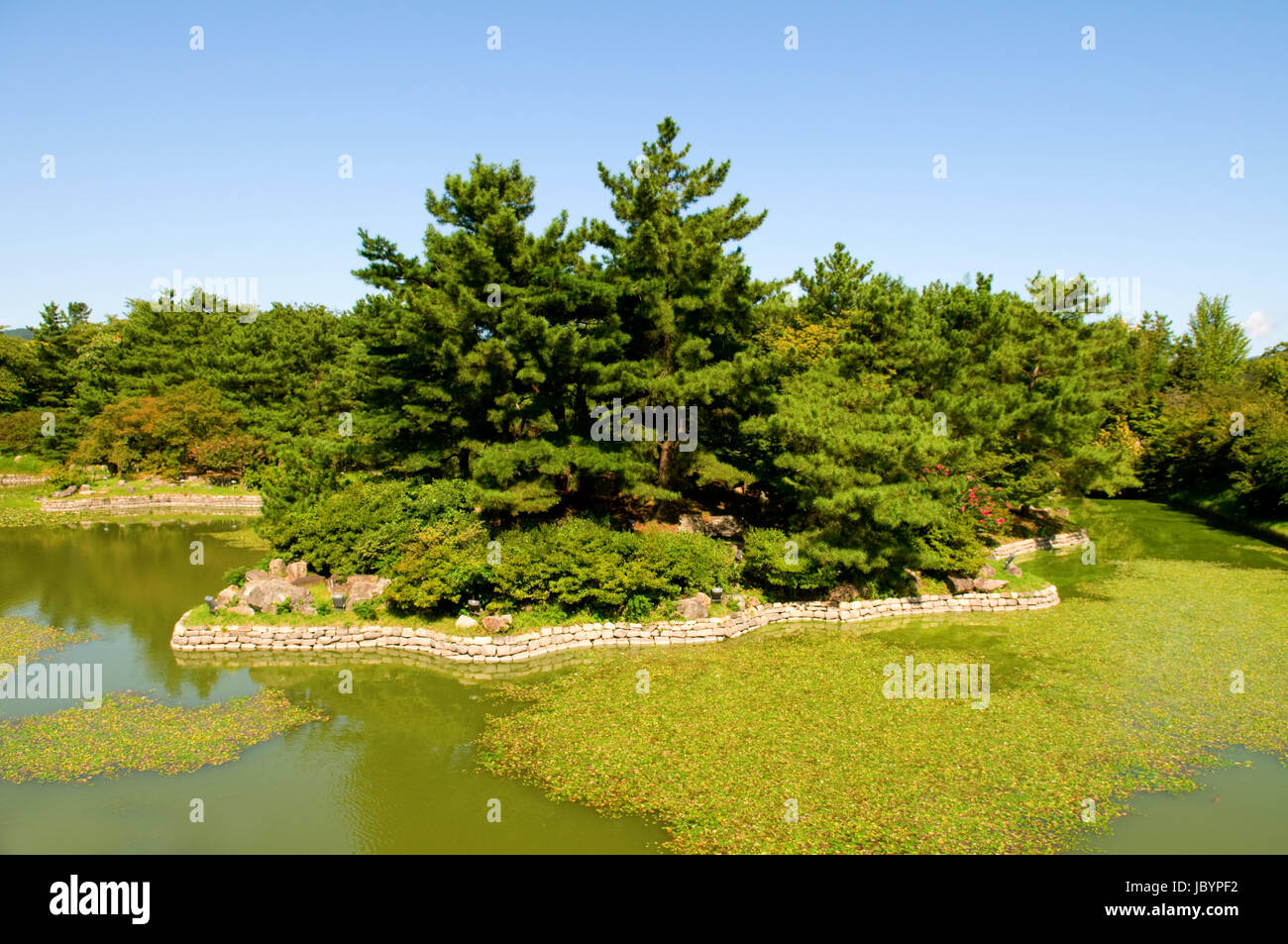Garden with trees and pond Stock Photo - Alamy
