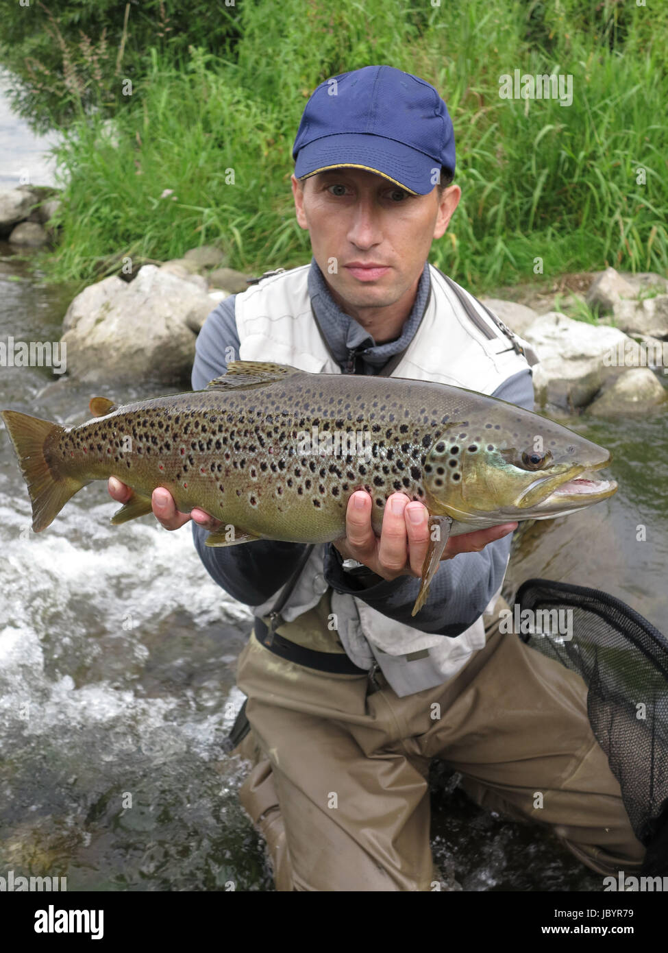 The rainbow fish play hi-res stock photography and images - Alamy