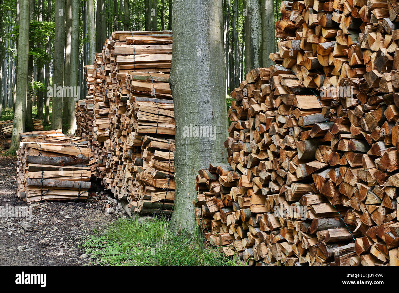 Gestapelte holzscheite hi-res stock photography and images - Alamy