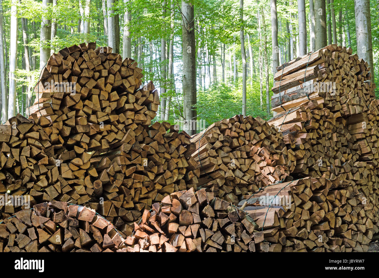 Brennholz im Wald, gestapelte Holzscheite in der Natur Stock Photo - Alamy